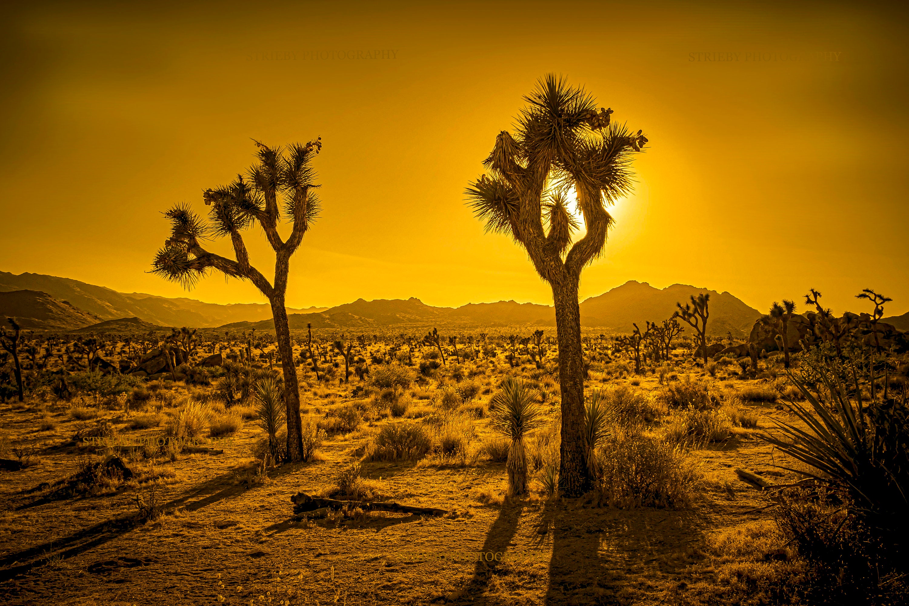 Landscape Photography-acrylic Prints-canvas Prints-wall Decor-wall Art ...