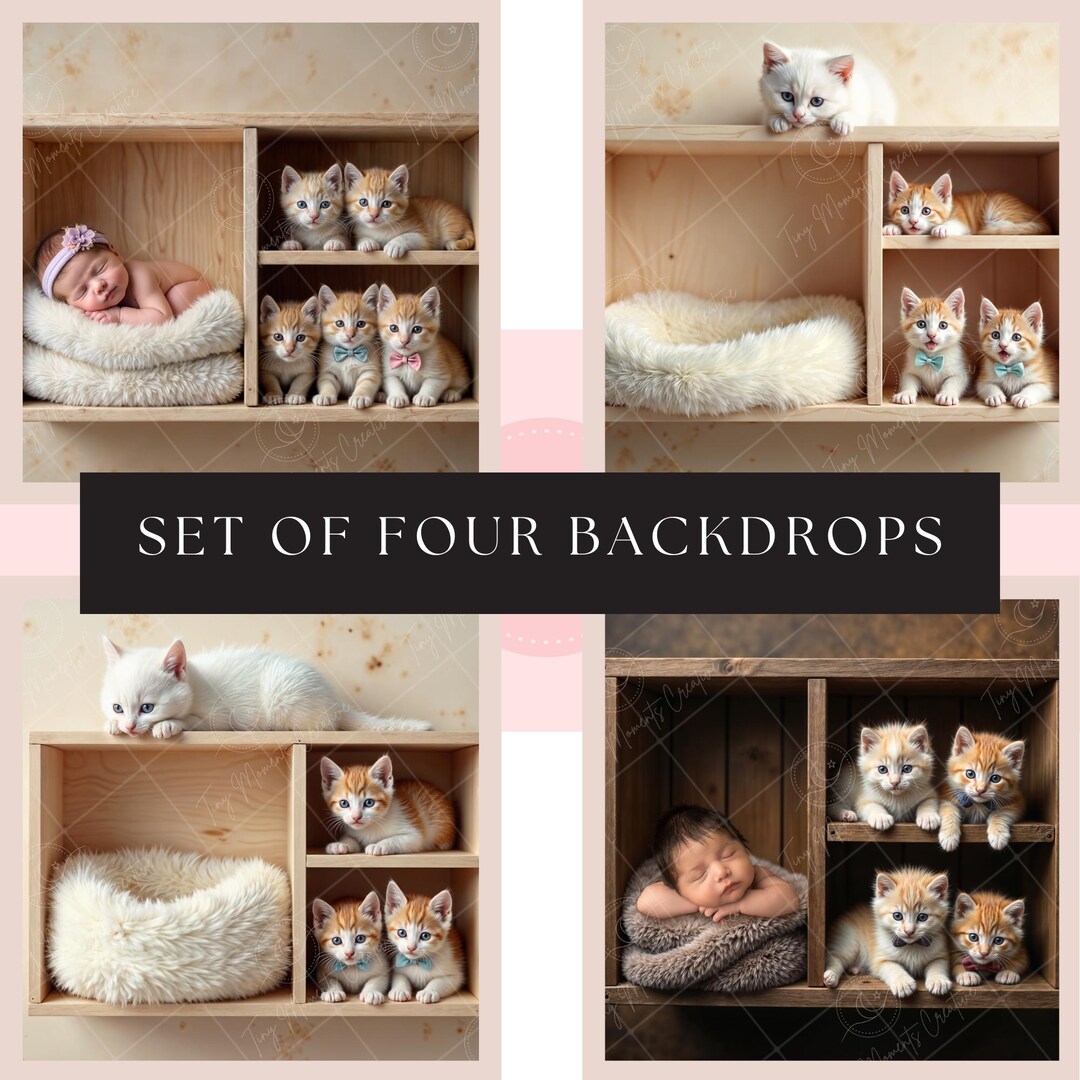 Set of Four Kitten Cubby Backdrops | Cozy Newborn Digital Bundle | Pet ...