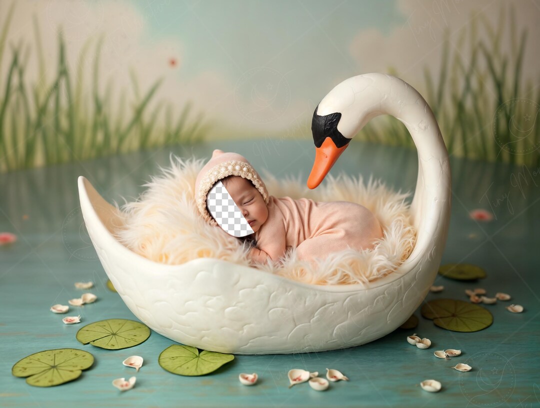 PSD: Face Insert Swan Cradle on Water, Newborn Digital Face Replace ...