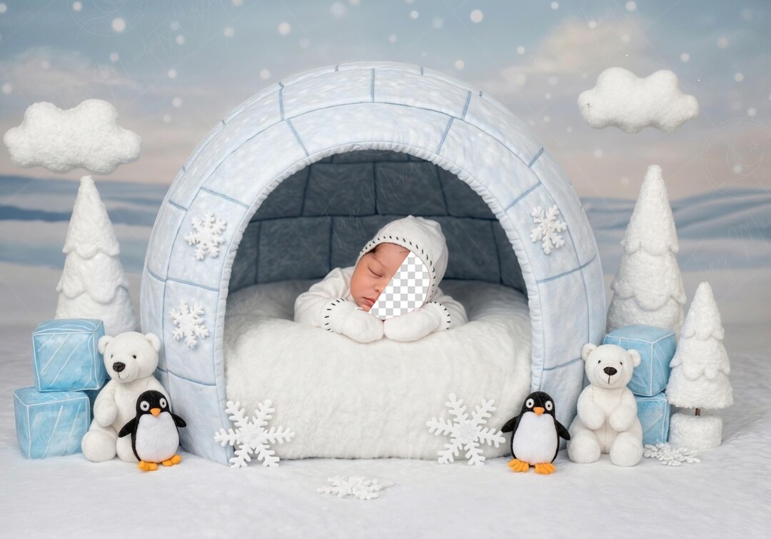 PSD: Face Insert Winter Wonderland Igloo Baby Digital Backdrop for ...