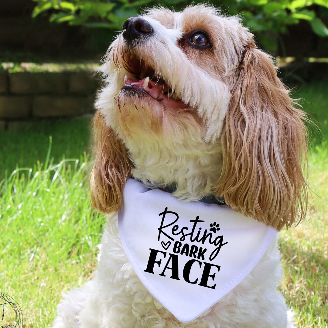 Pet Bandana, Resting Bark Face, Dog Scarf, Funny Dog Accessories - Etsy