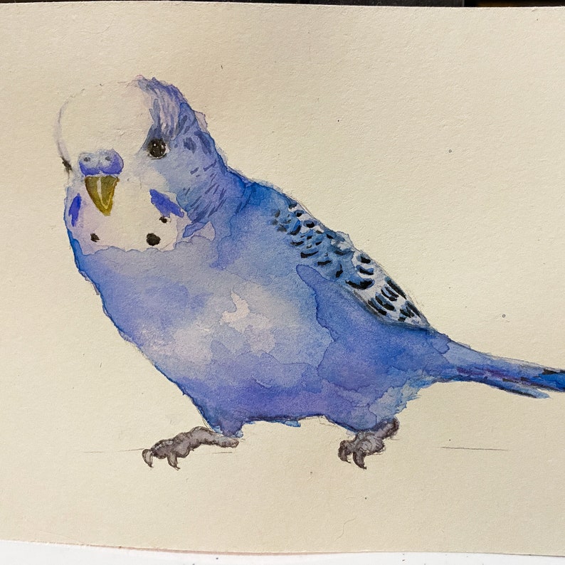 Personalized Budgie Parakeet Painting - Etsy