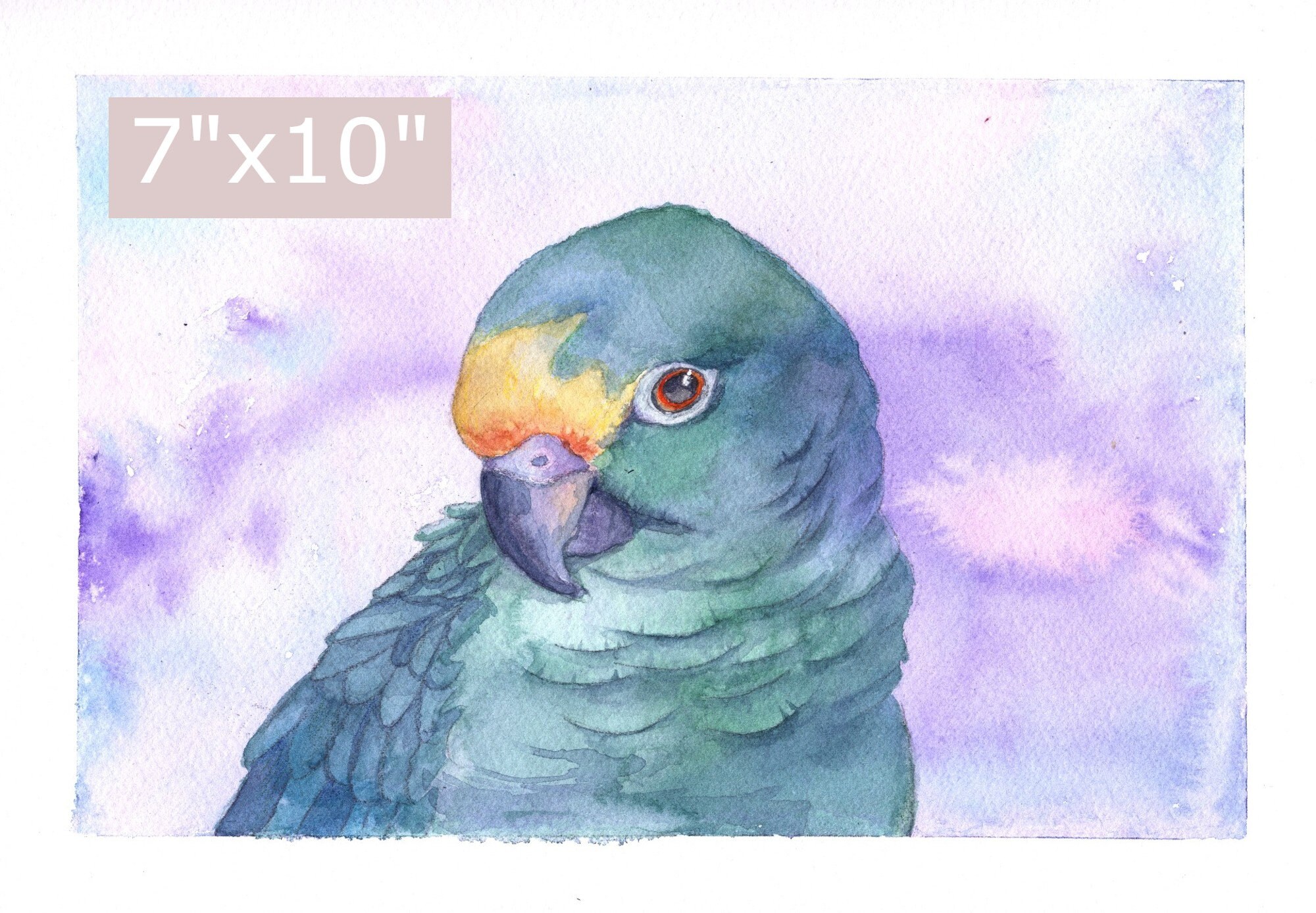 Personalized Budgie Parakeet Painting | Etsy