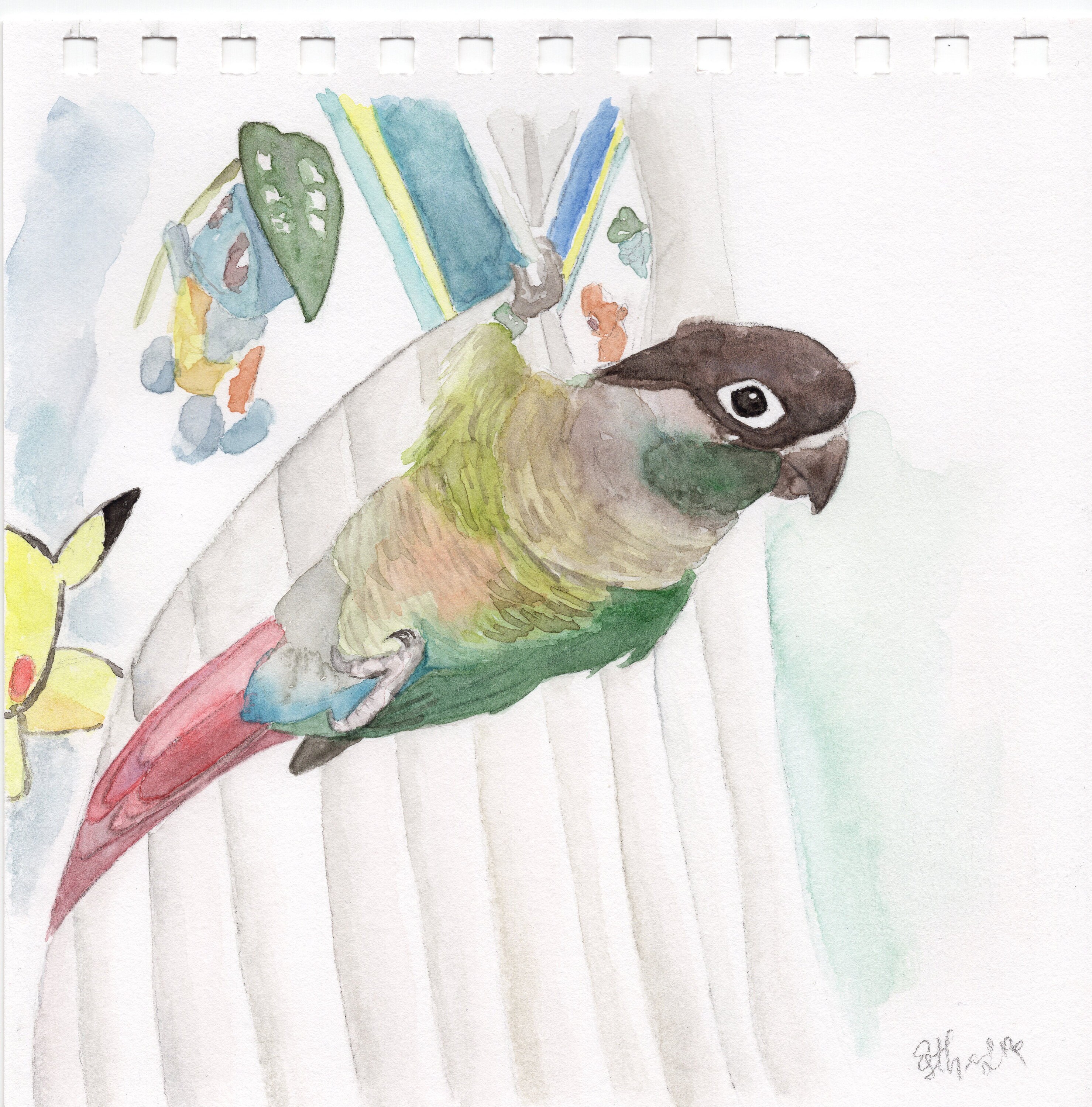 Personalized Budgie Parakeet Painting | Etsy