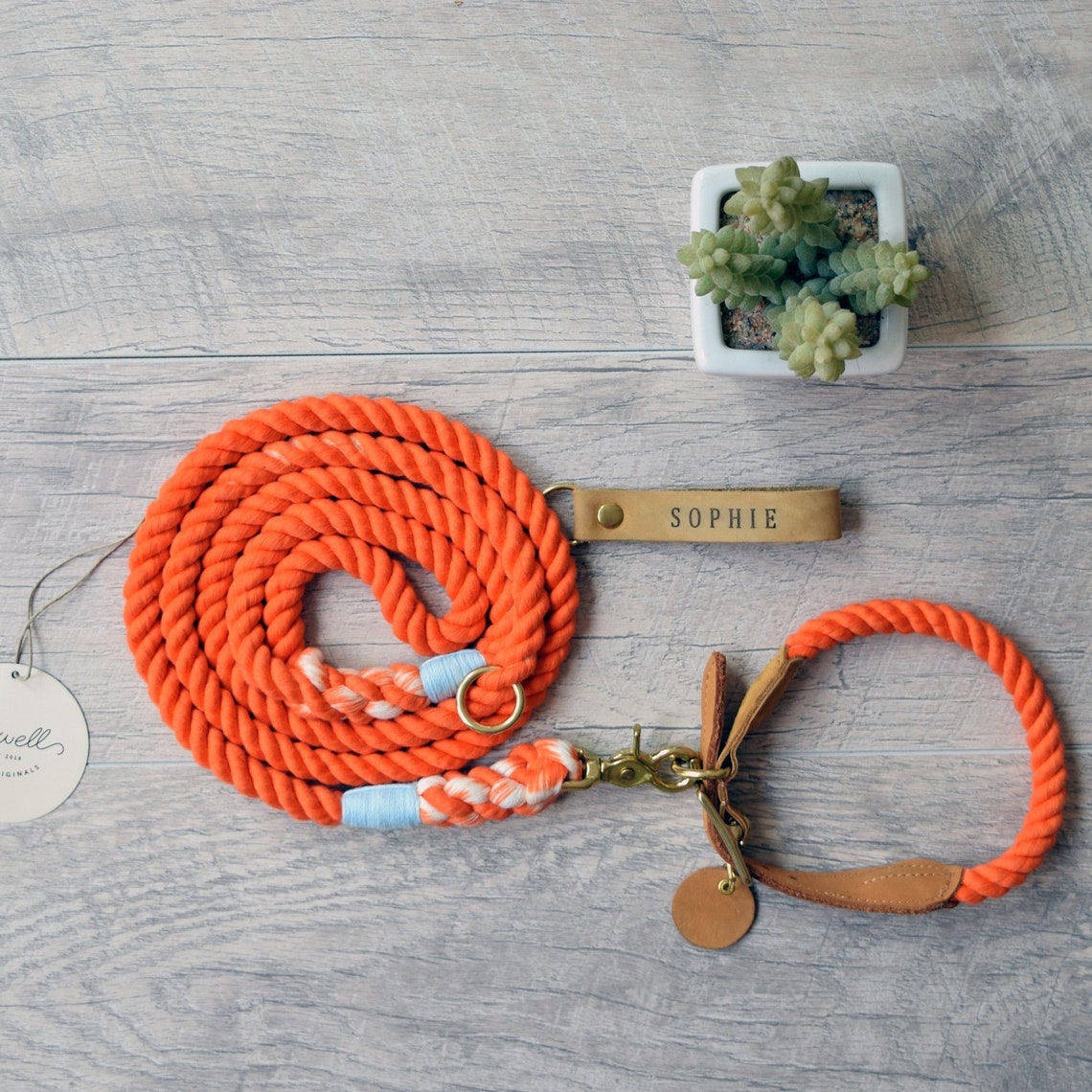 Rope Dog Collar and Leash Set Dog Lead & Fashion Dog Collar - Etsy Canada