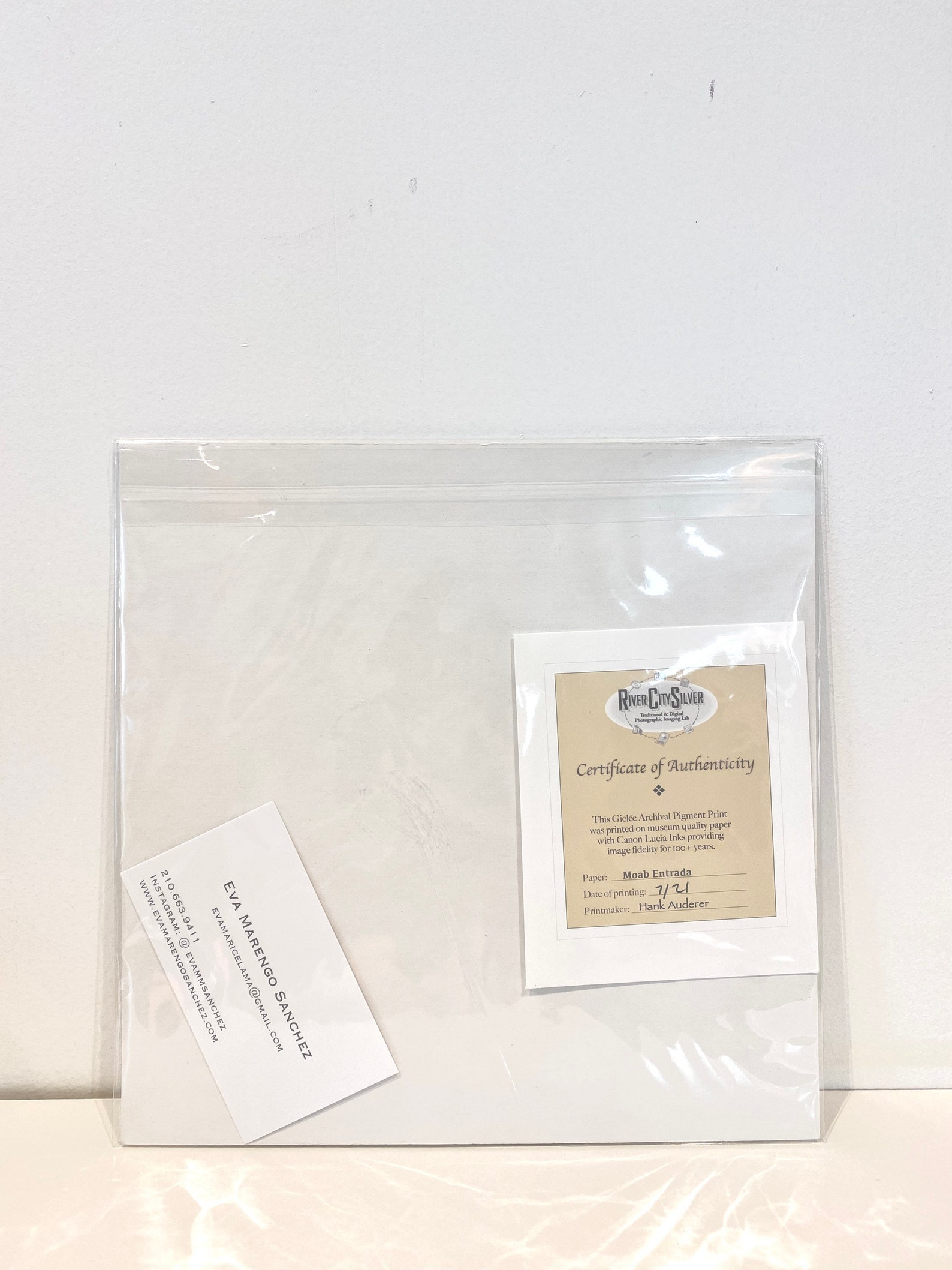 White Concha 2 Giclee Print of Oil Painting - Etsy