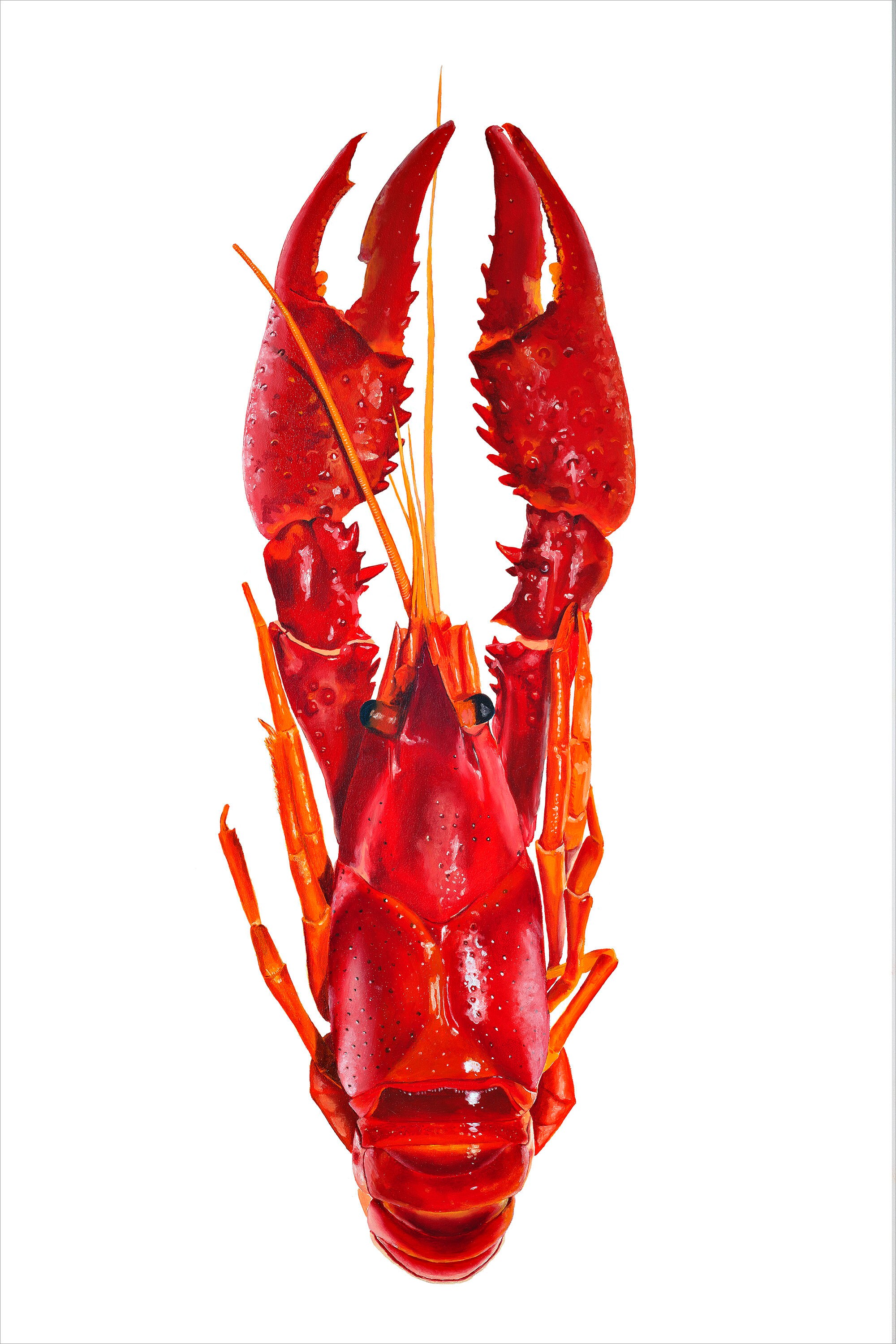 16x24 Uncle Claude crawfishmudbugcrawdad - Etsy