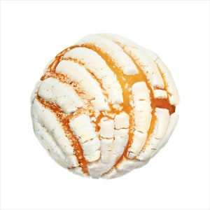 White Concha #2 Giclee Print of Oil Painting - Etsy