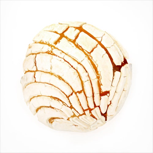 8x8 Pink Sugar Concha Giclee Print of Oil Painting - Etsy