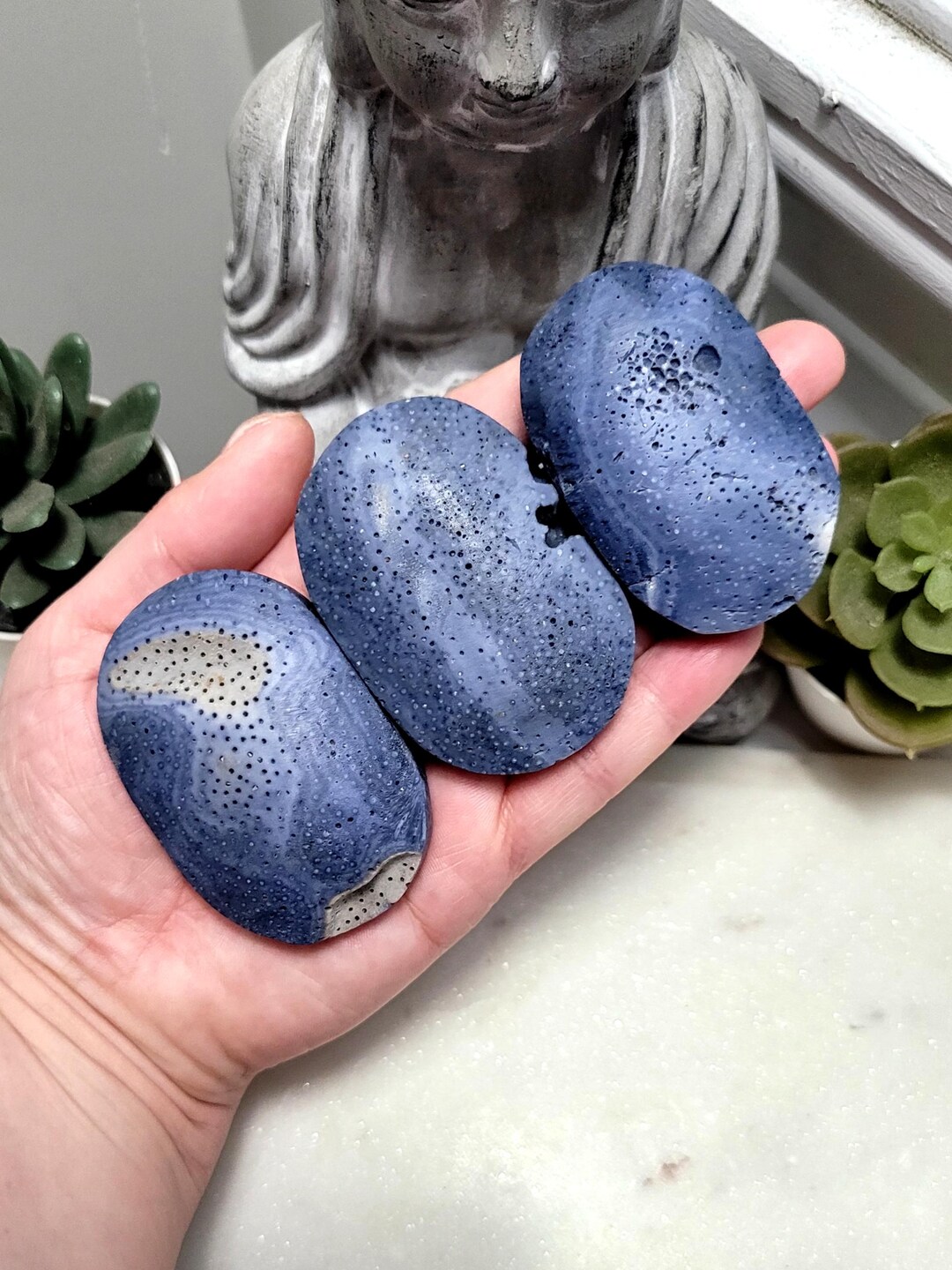 Blue Fossil Coral Palm Stone, Natural Heliopora Coerulea, Fossilized ...