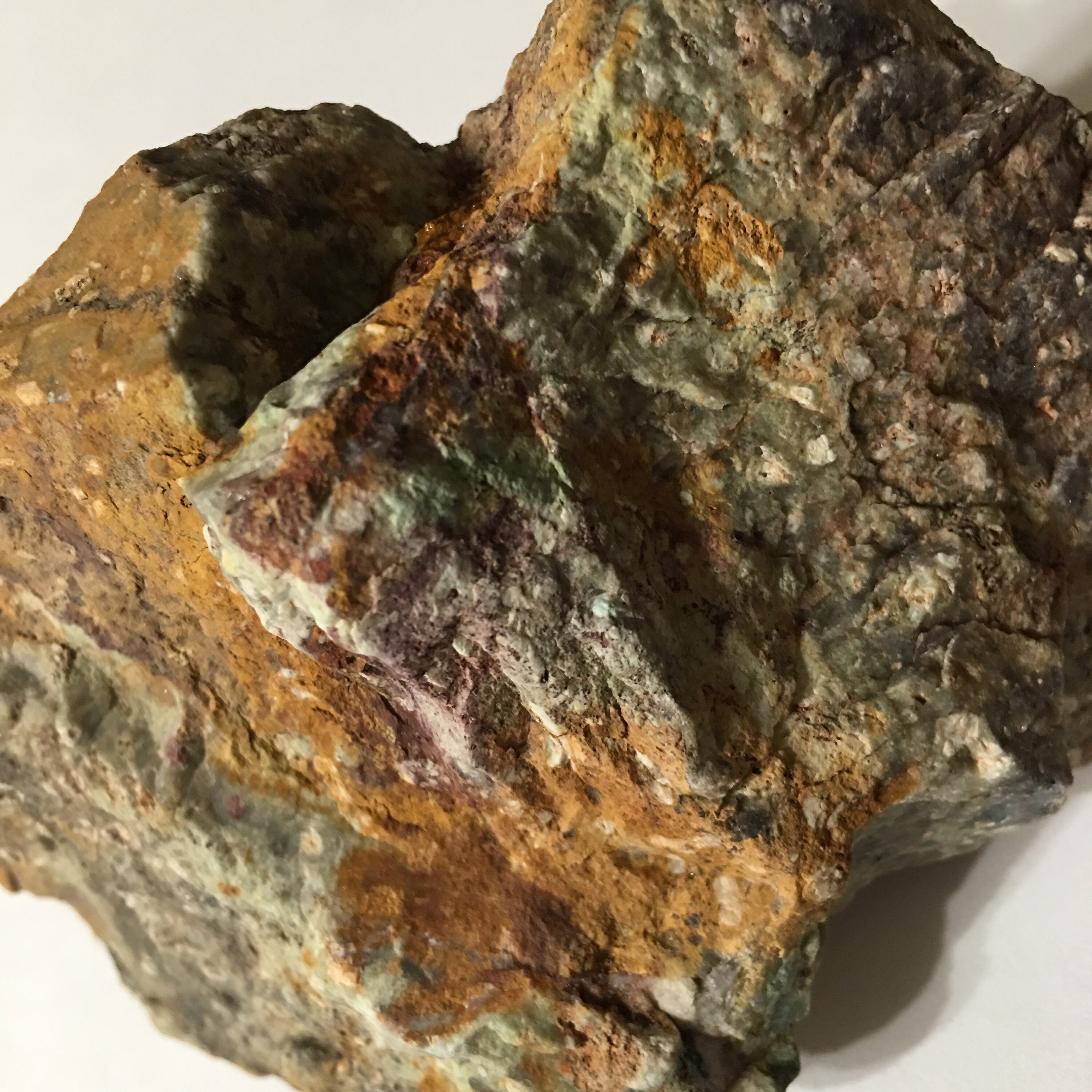 Colorful and Unique Jasper Petrified Wood CA Mojave Desert - Etsy Hong Kong