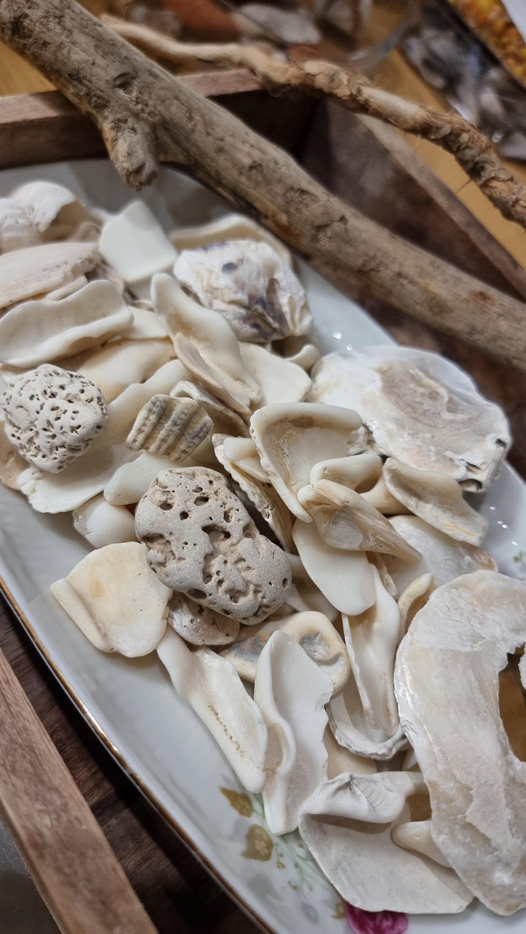 450g White Mixed Tumble Sea Stones, Shells Treasure, for Crafts, Beach ...