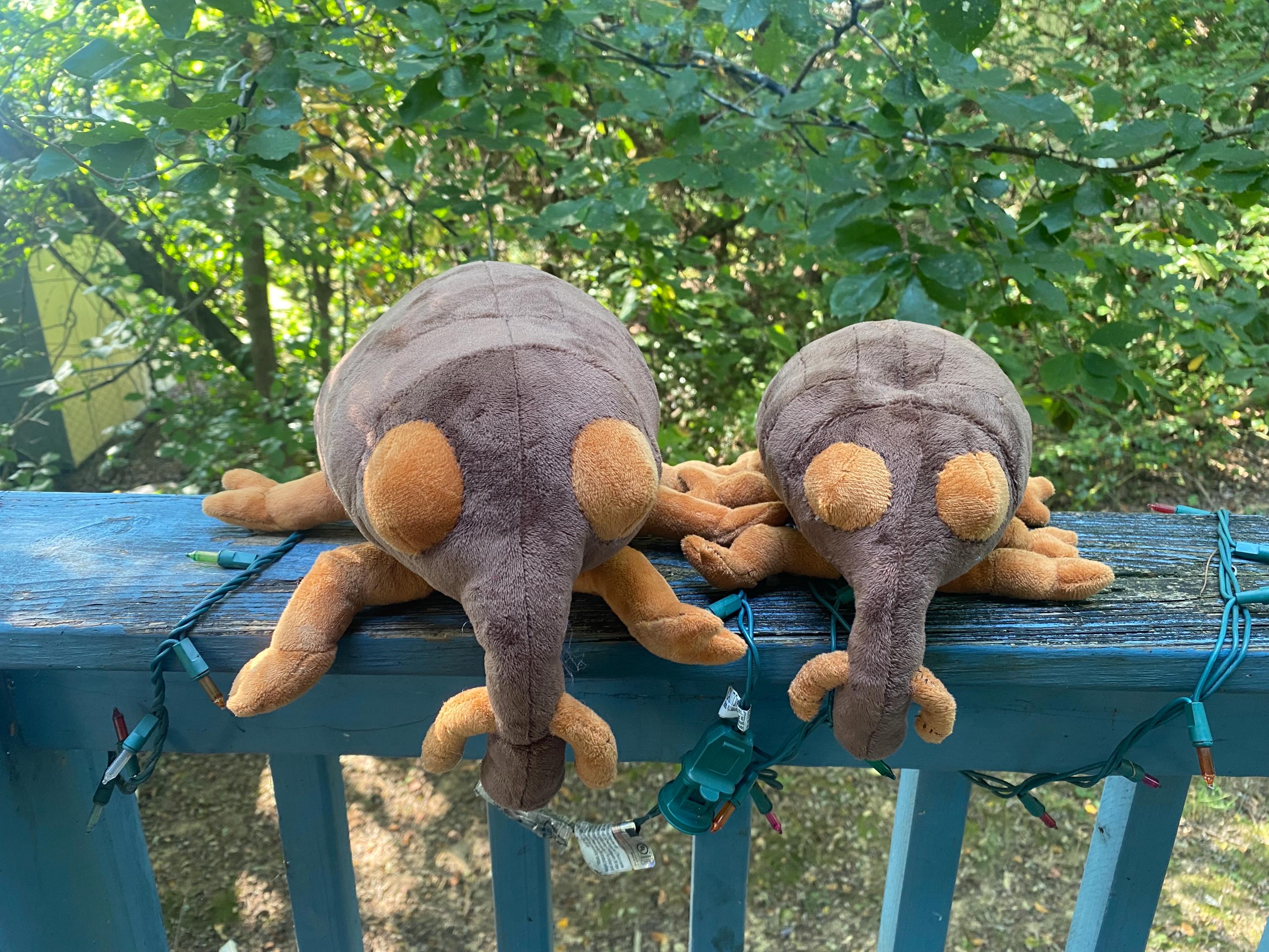 Grounded Inspired Weevil Plush - Etsy