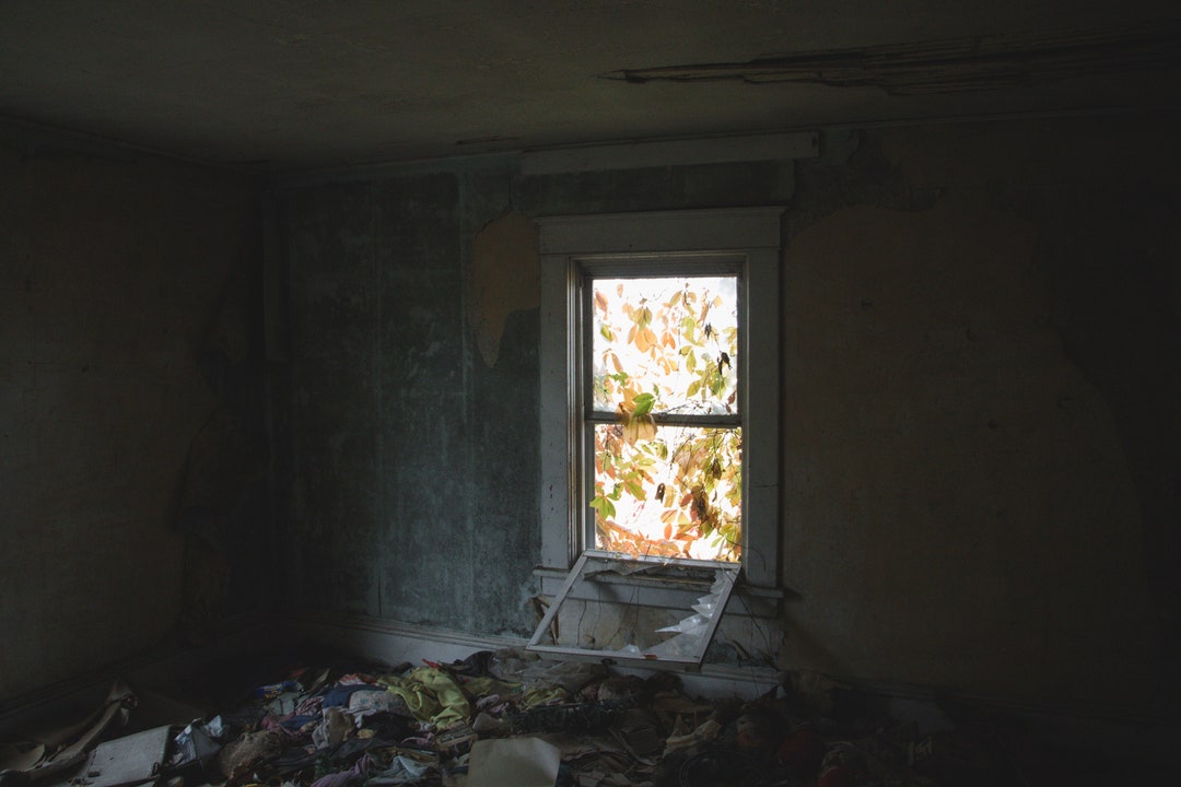 Leaving Through the Window Abandoned House Illinois - Etsy