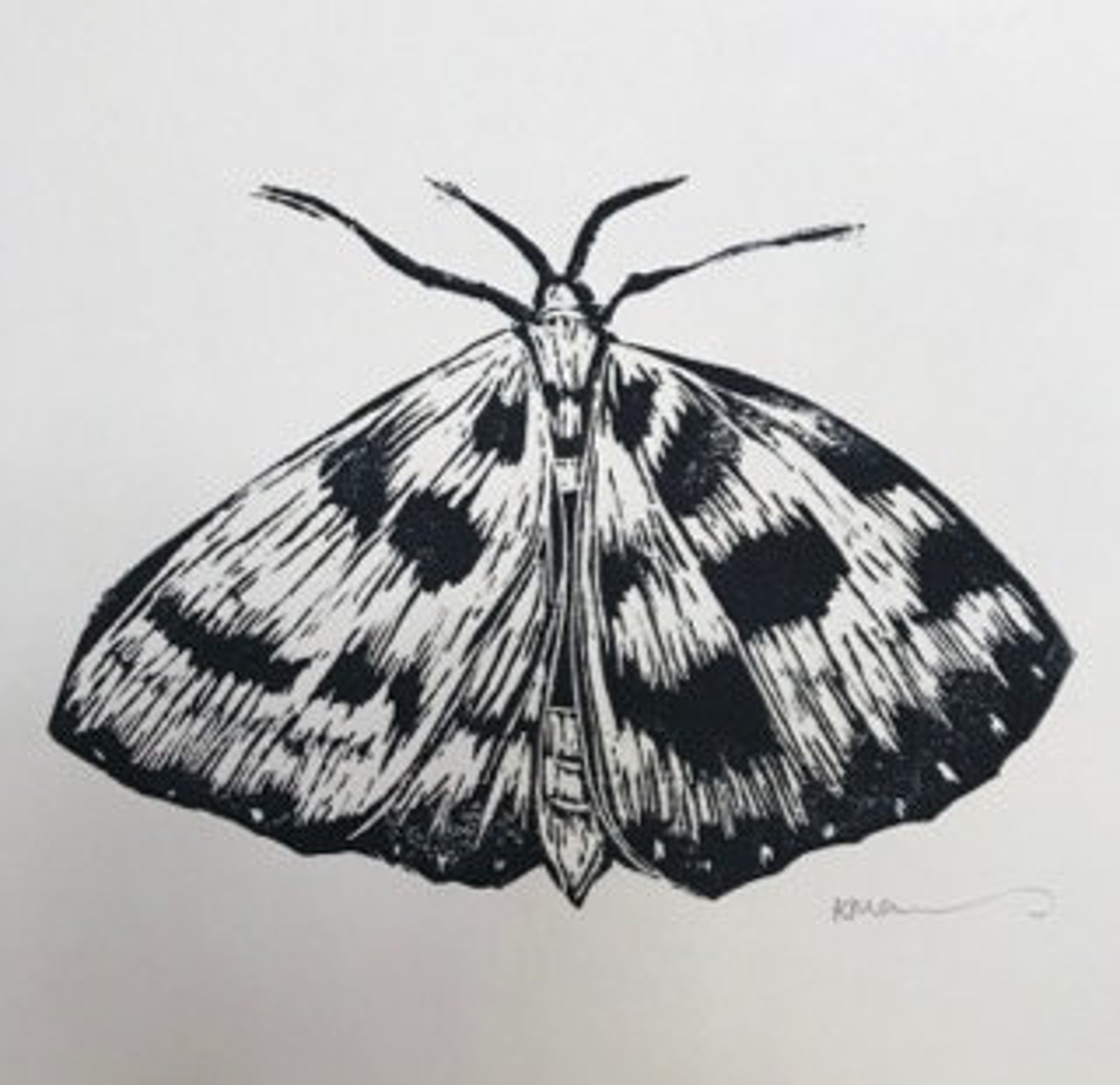 The Moth Print, Original Handprinted Linocut, Minimal Wall Art, Black ...