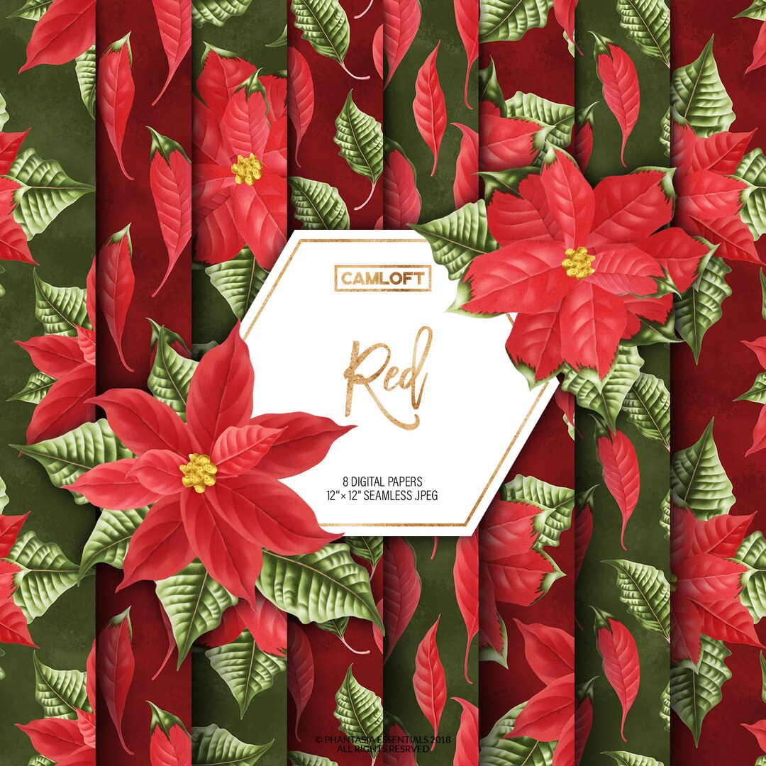 Poinsettia Digital Paper, Poinsettia Pattern, Christmas Pattern, Winter ...