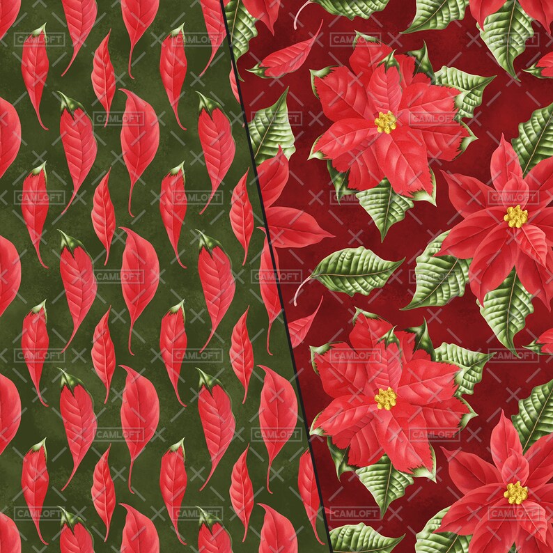 Poinsettia Digital Paper, Poinsettia Pattern, Christmas Pattern, Winter ...