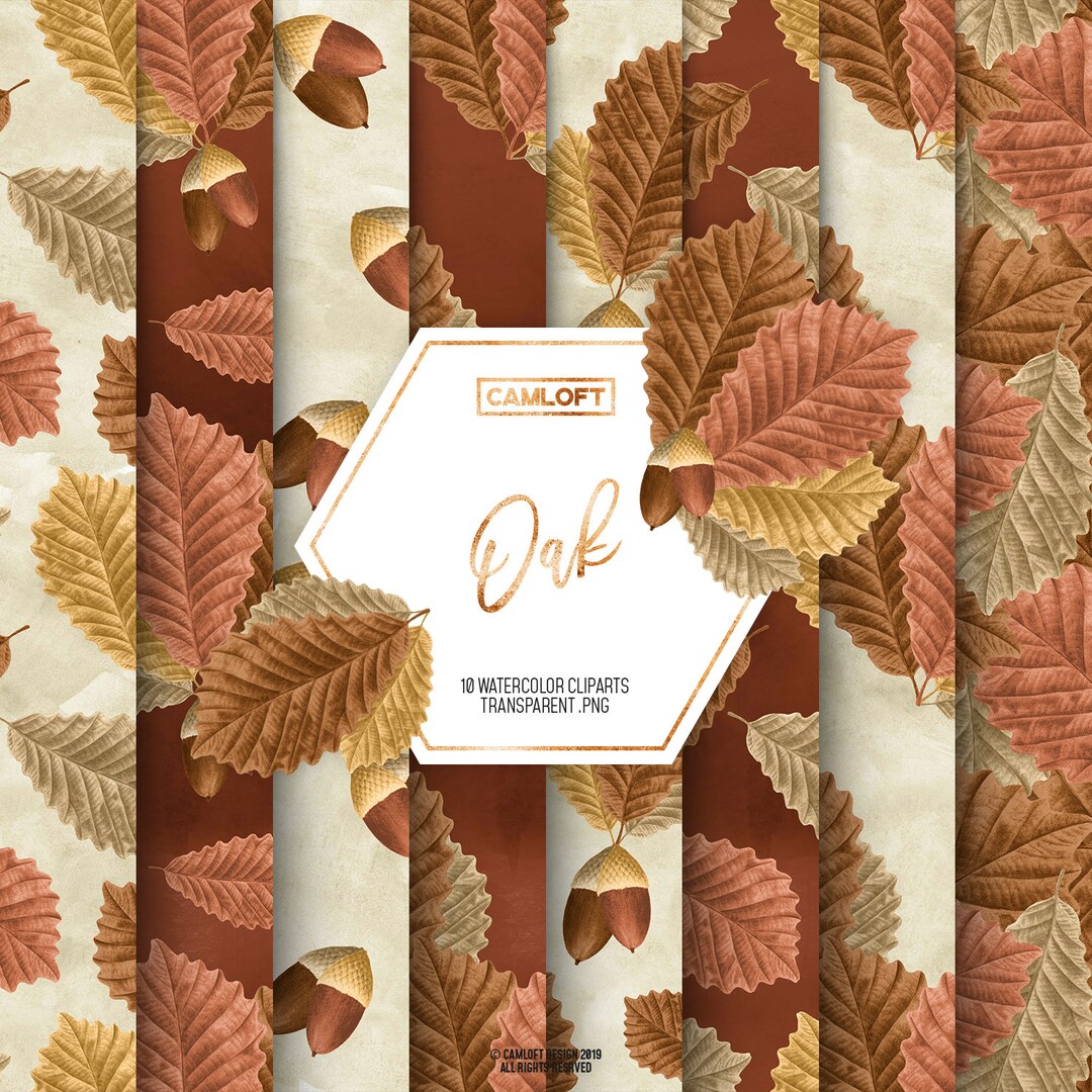 Autumn Digital Papers, Floral Digital, Autumn Floral, Autumn Leaves ...