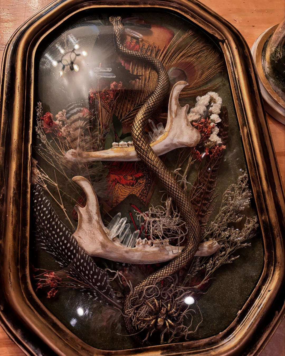 Handmade Shadowbox Art Bones, Quartz, Feathers, & Brass Serpent - Etsy
