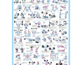 Toe Walking Handout and Exercise Chart - Etsy