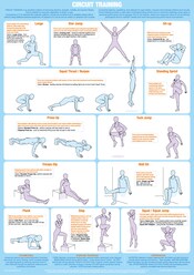 Stretching Exercise Poster, Warm up Cool Down Chart - Etsy Canada