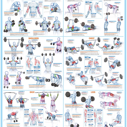 Home Gym Exercises Laminated Poster/Chart: Home Gym Chart, Home Gym ...