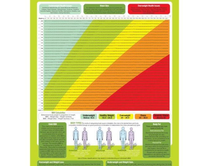 Digestive System Chart | Stomach Anatomy Poster | Waterproof Synthetic ...