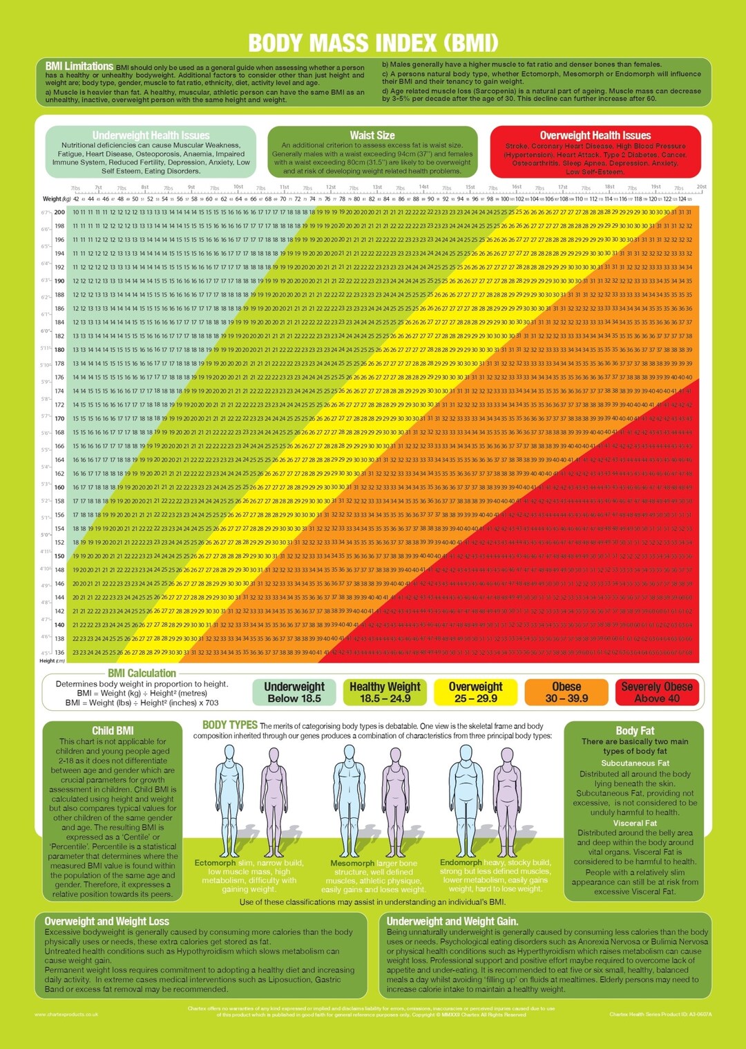 BMI Chart Body Mass Index Poster Height And Weight Poster Etsy UK BMI Chart Body Mass Index Poster Height And Weight Poster Etsy UK