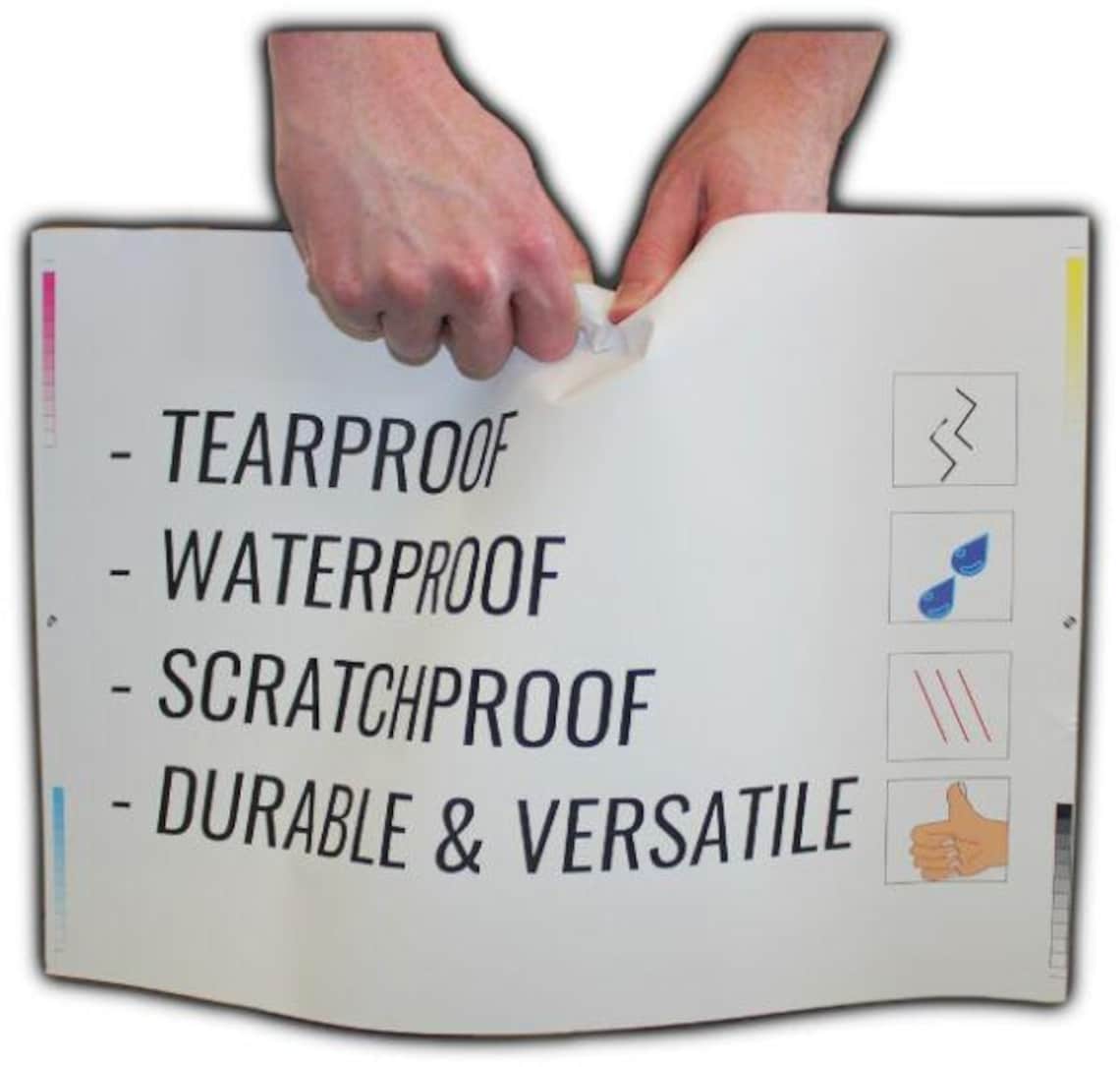 Digestive System Chart | Stomach Anatomy Poster | Waterproof Synthetic ...
