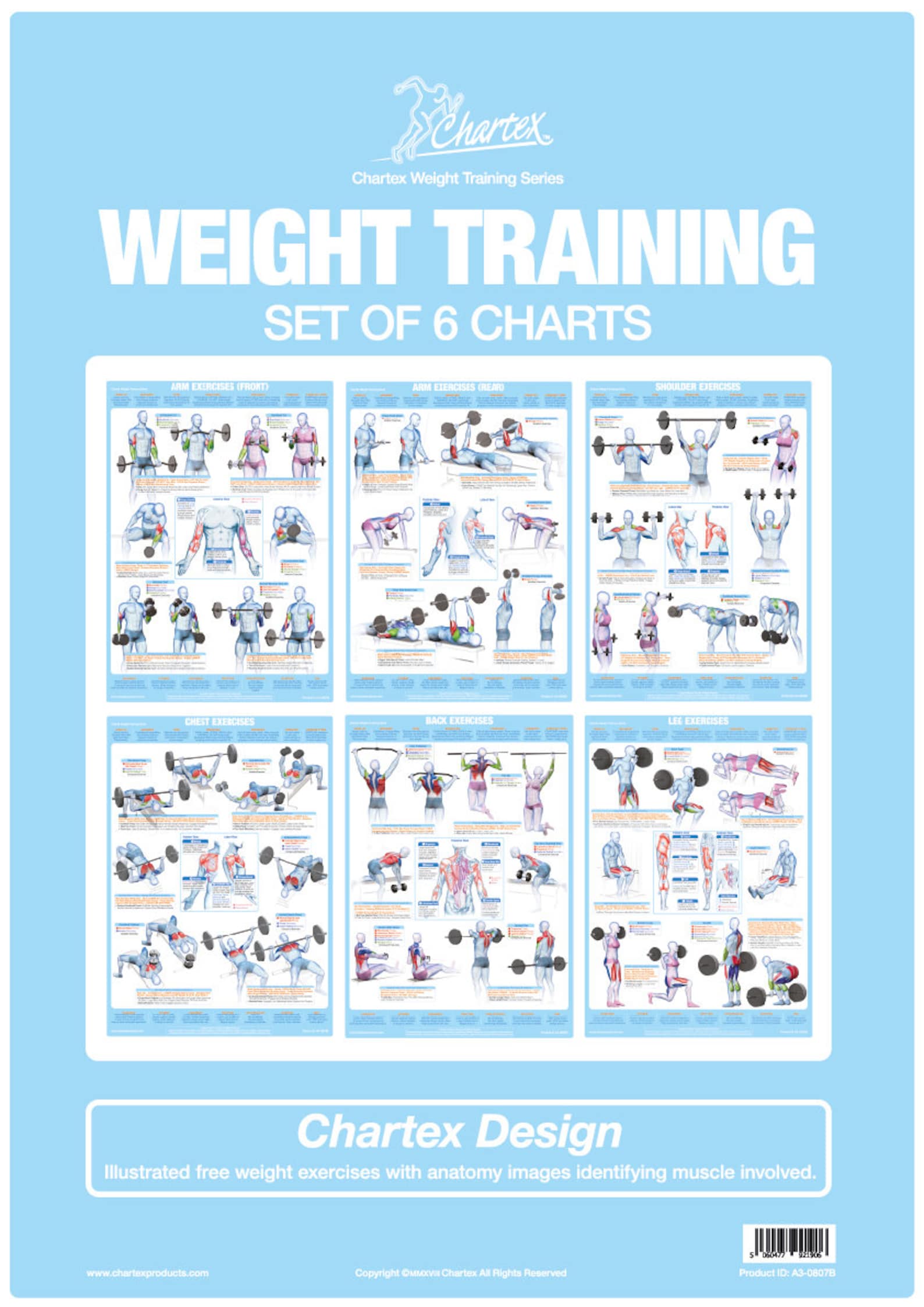 Weight Training Posters | Bodybuilding Exercise Charts | Strength ...