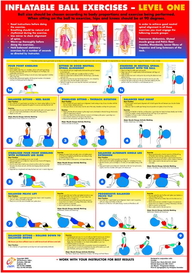 Gym Ball Posters, Swiss Ball Gym Charts - Etsy