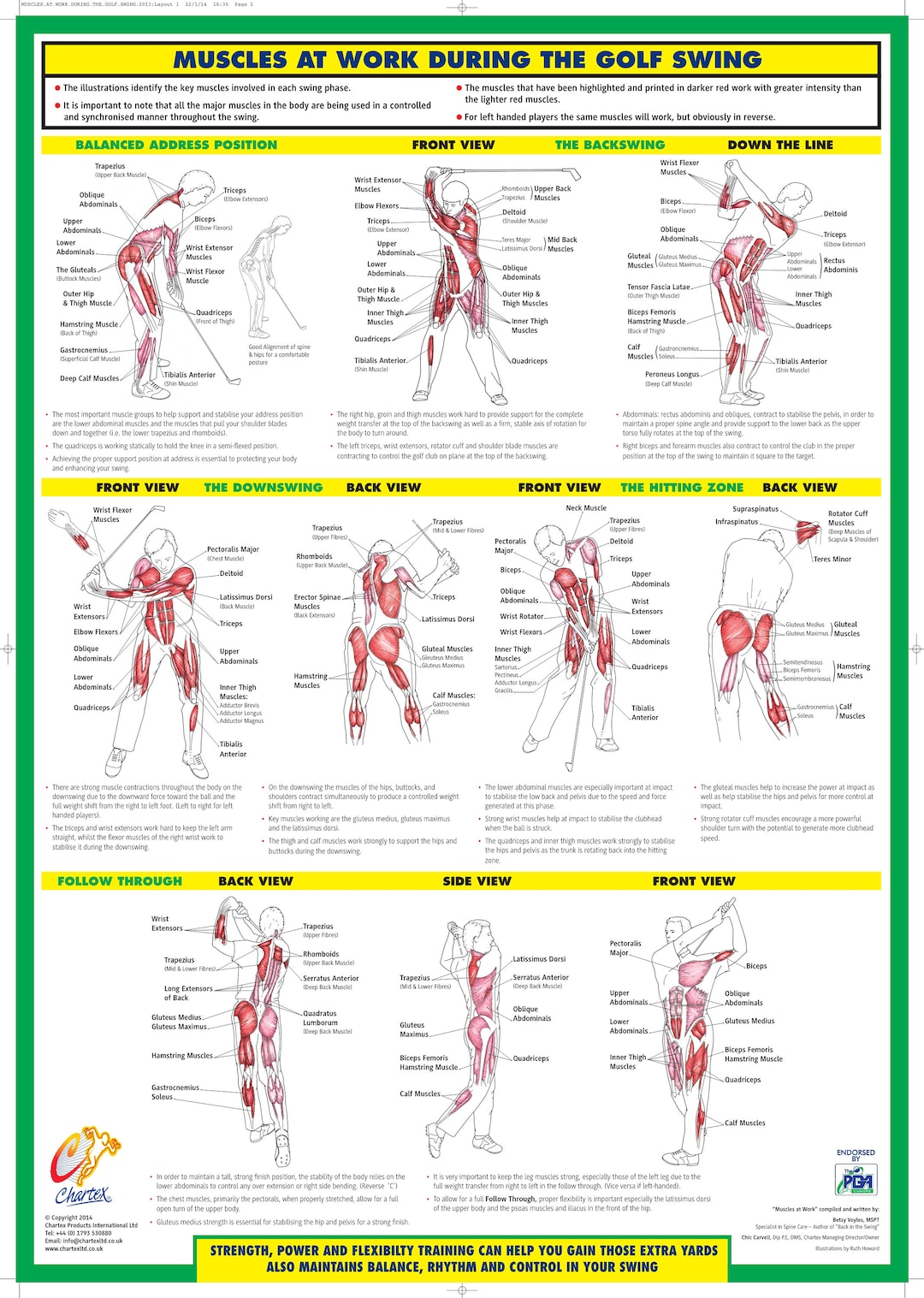 Golf Swing Training Poster | Golf Instruction Chart - Etsy