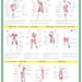 Golf Swing Training Poster | Golf Instruction Chart - Etsy