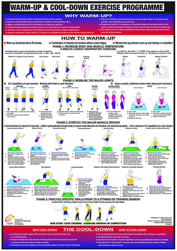 Warm up Cool Down Exercise Poster - Etsy