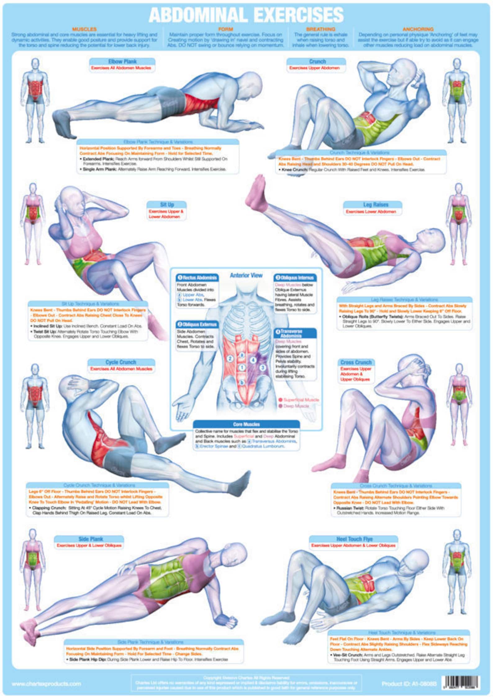 Abdominal and Core Exercise Poster | Abbs Training Chart | Core ...