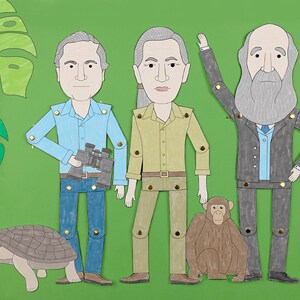 Famous Scientist Paper Dolls (einstein, Curie, Tesla, Hopper, Goodall ...