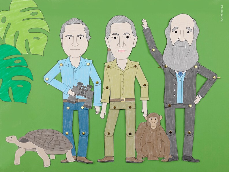 Famous Scientist Paper Dolls (einstein, Curie, Tesla, Hopper, Goodall ...