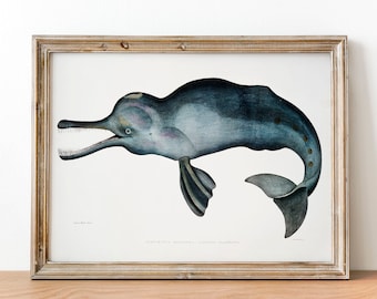 Dolphin art | Etsy