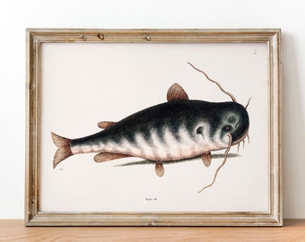 Cat and fish art | Etsy