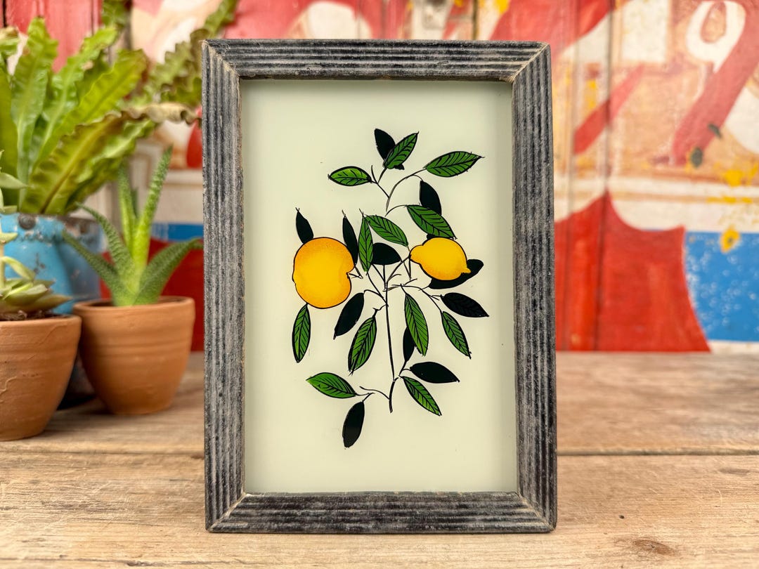 Vintage Indian Reverse Glass Painting of Lemons, Botanical - Etsy