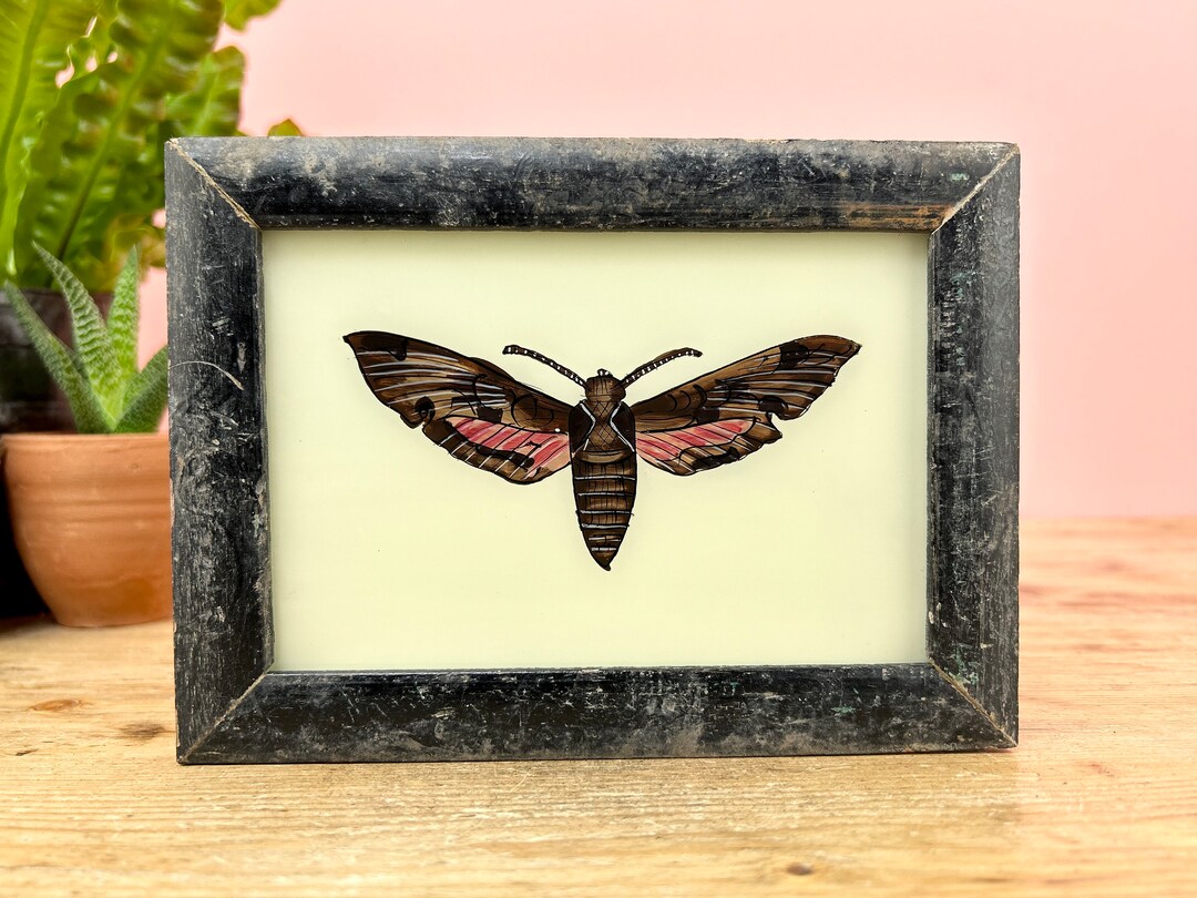 Vintage Indian Reverse Glass Painting of a Moth - Etsy