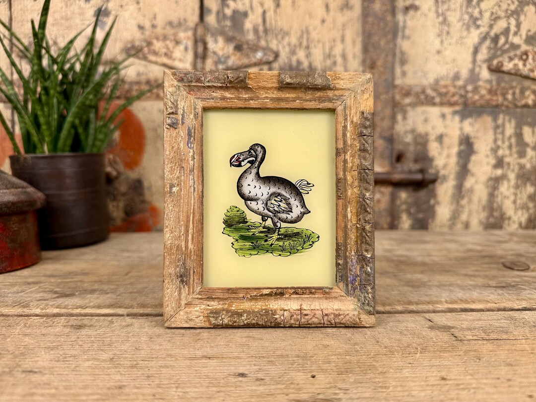 Vintage Indian Reverse Glass Painting of a Dodo, Bird - Etsy