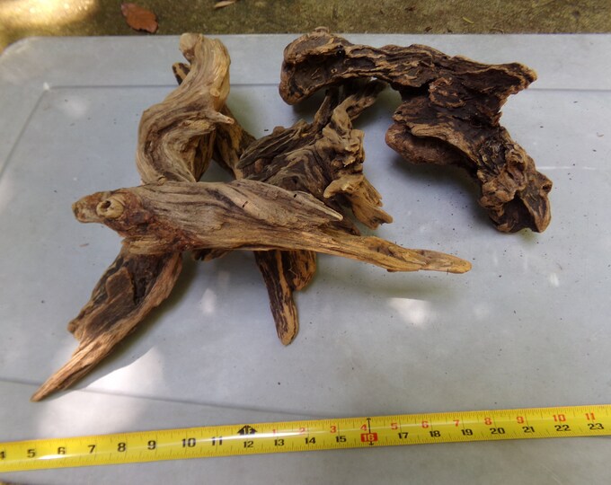 Rustic Dragon Wood Driftwood From Fl. Very Unusual in Color and Shape ...