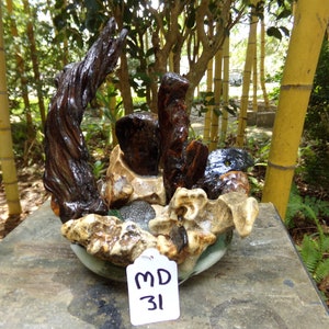 Aquascape: Limestone Cavernous Cave Rock, Driftwood Arrangement ...