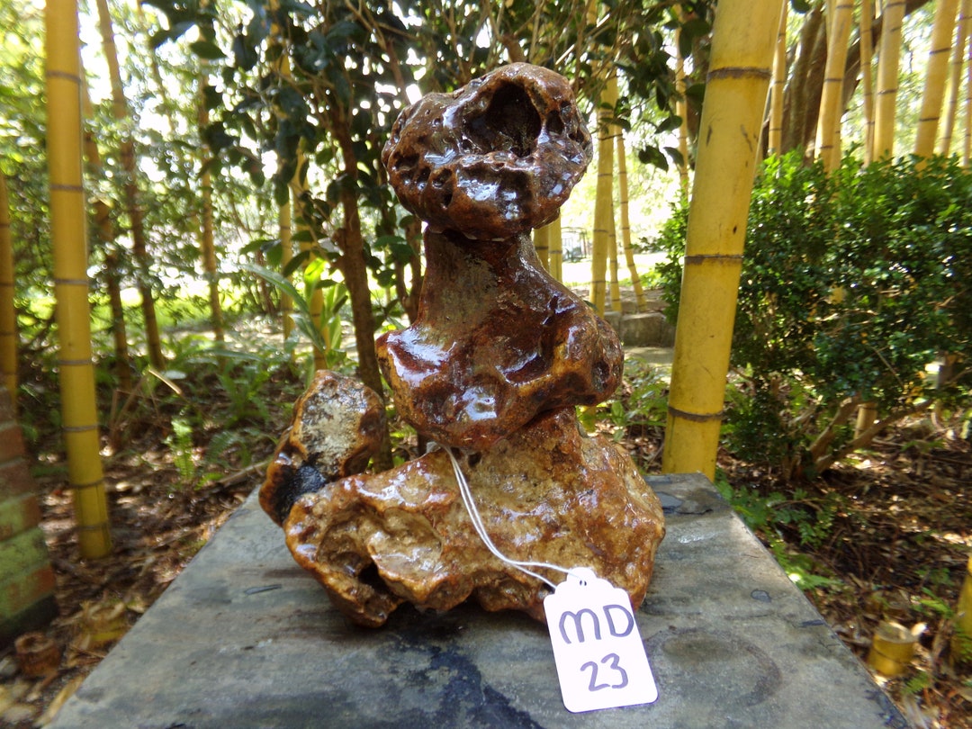 Aquascape: Limestone Cavernous Cave Rock, Driftwood Arrangement ...