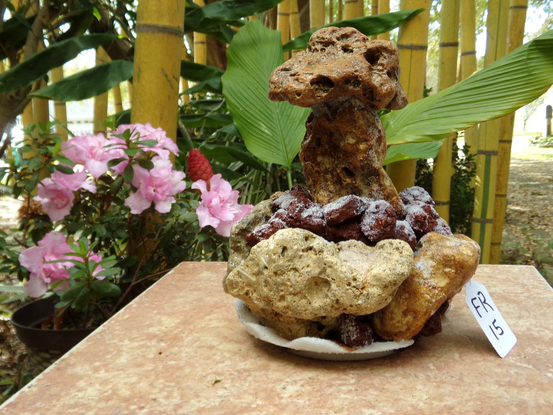 Calcified Fl Caverns Limestone Cave Rock Pumice Rock Arrangement Resinandsand Standing Sinking
