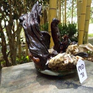 Aquascape: Limestone Cavernous Cave Rock, Driftwood Arrangement ...