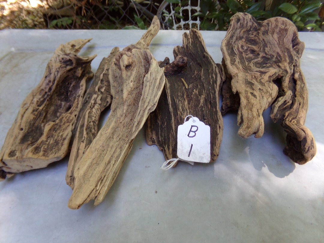 Rustic Dragon Wood Driftwood From Fl.~red Oak~ Very Unusual in Color ...