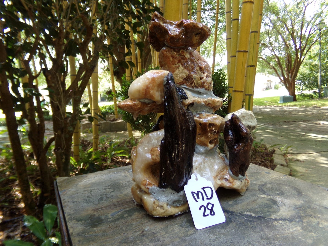 Aquascape: Limestone Cavernous Cave Rock, Driftwood Arrangement ...