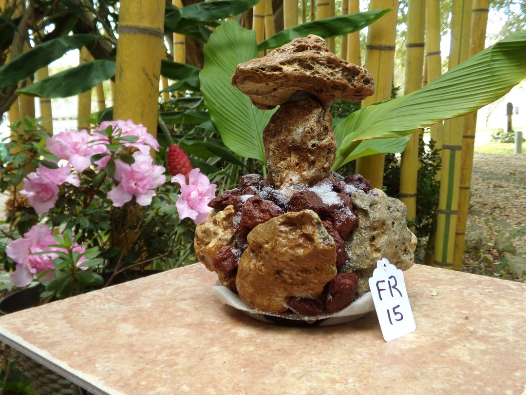 Calcified Limestone Cave Rock: Aquarium Terrarium Decor - Etsy